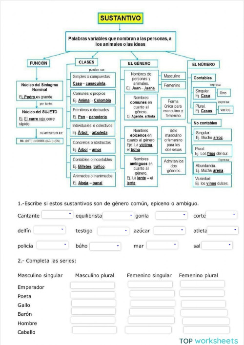 El sustantivo. Ficha interactiva | TopWorksheets