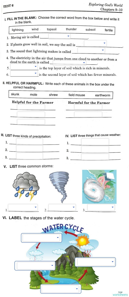 Science Test II. Interactive worksheet | TopWorksheets