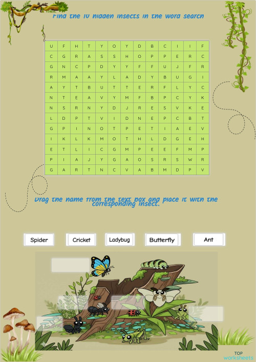 Insect vocabulary by Lisandro Carpio. Interactive worksheet | TopWorksheets