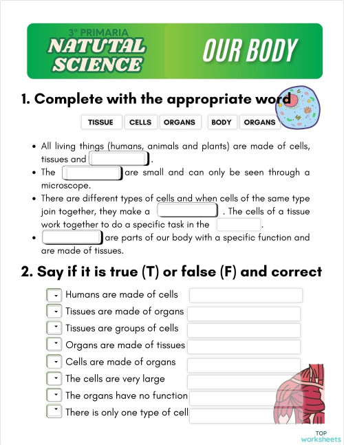 HUMAN BODY. Interactive worksheet | TopWorksheets