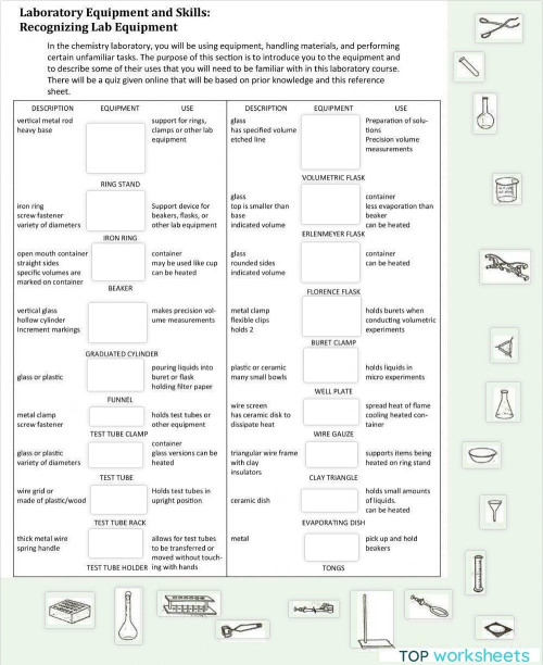 Lab equipment and skills. Interactive worksheet | TopWorksheets
