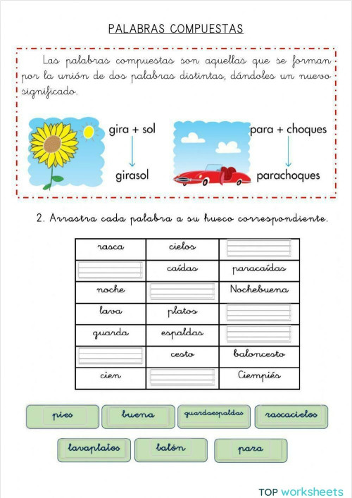 Las palabras compuestas. Ficha interactiva | TopWorksheets