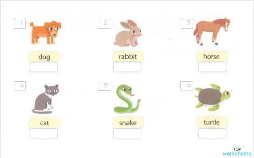 What S This Dictation Interactive Worksheet Topworksheets