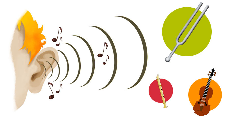 Cualidades del sonido. Ficha interactiva | TopWorksheets