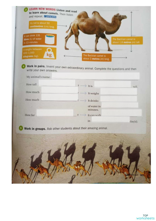 A2.1: Fifth class. Interactive worksheet | TopWorksheets