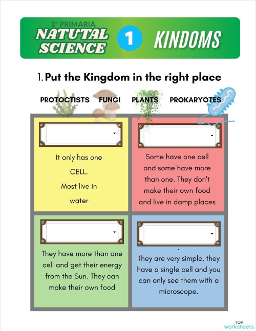 ANIMAL KINGDOM. Interactive worksheet | TopWorksheets