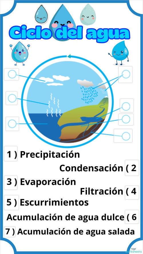 Ciclo del agua. Ficha interactiva | TopWorksheets