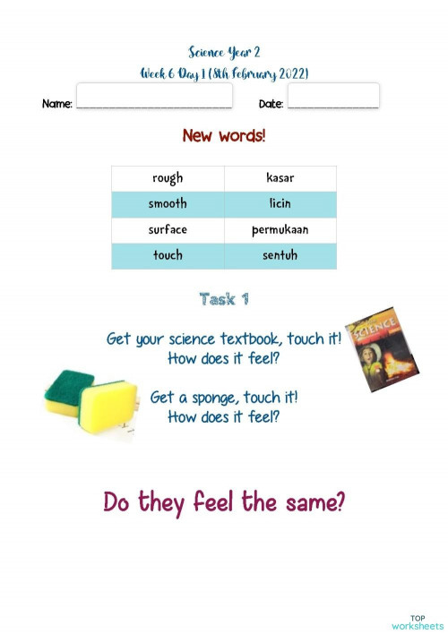 Texture - Rough and Smooth. Interactive worksheet | TopWorksheets