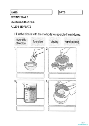 EXERCISE UNIT 8: MIXTURE. Interactive worksheet | TopWorksheets