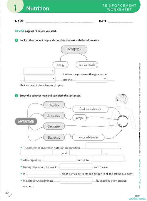 U1 6th grade Review for the test Science. Interactive worksheet ...