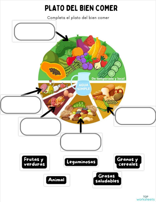 Plato del bien comer. Ficha interactiva | TopWorksheets