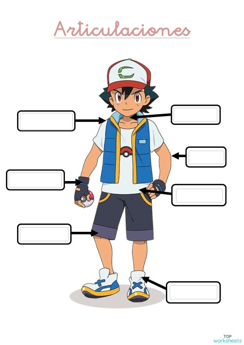 Articulaciones Ash Pokémon. Ficha interactiva | TopWorksheets