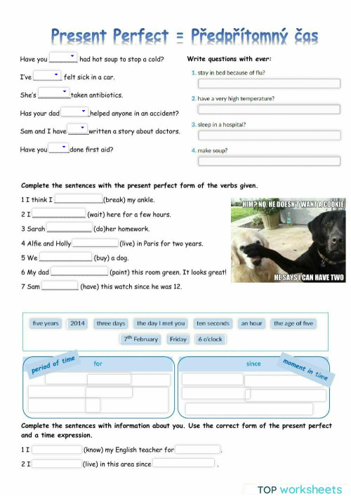 Present perfect. Interactive worksheet | TopWorksheets