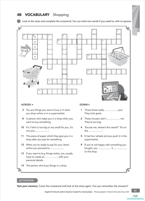PGE 4B: Shopping. Interactive worksheet | TopWorksheets