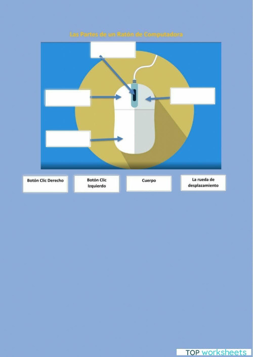 Las partes del ratón de computador. Ficha interactiva | TopWorksheets