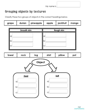 Grouping objects by texture. Interactive worksheet | TopWorksheets