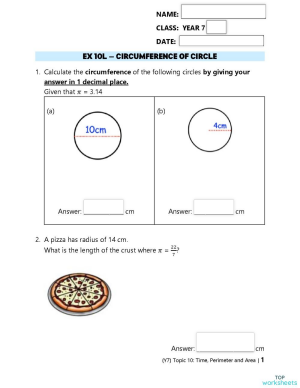 Circumference of Circle. Interactive worksheet | TopWorksheets