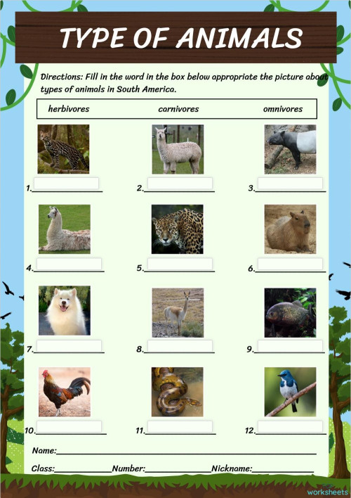types of animals ใบงานเชิงโต้ตอบ | TopWorksheets
