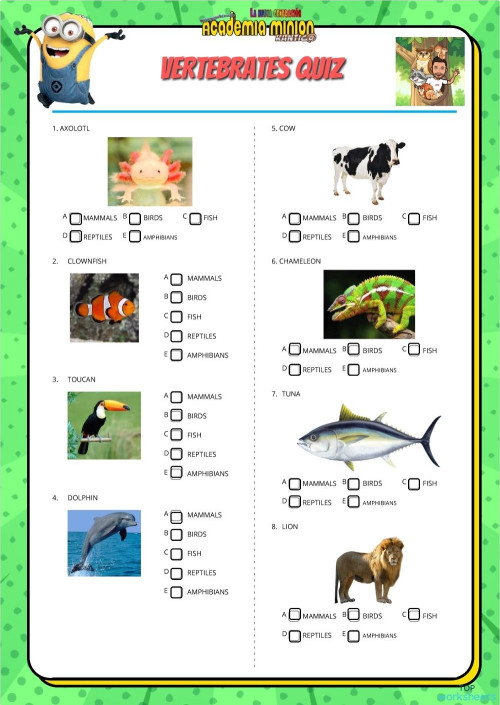 VERTEBRATES QUIZ. Interactive worksheet | TopWorksheets