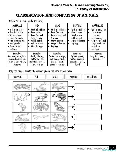 Year 5 Science Assessment Week 12. Interactive worksheet | TopWorksheets