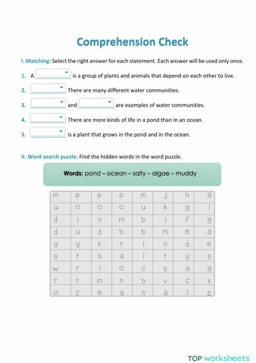 Comprehension Check. Interactive worksheet | TopWorksheets