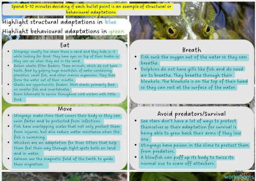 Structural Vs Behavioural Highlighting. Interactive worksheet ...