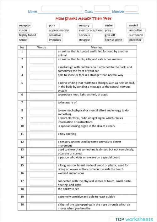 Sharks. Interactive worksheet | TopWorksheets