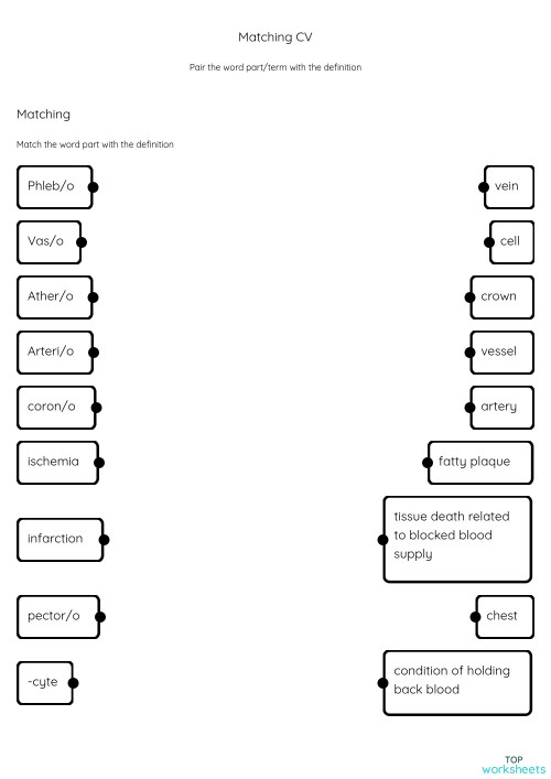 Matching CV. Interactive worksheet | TopWorksheets
