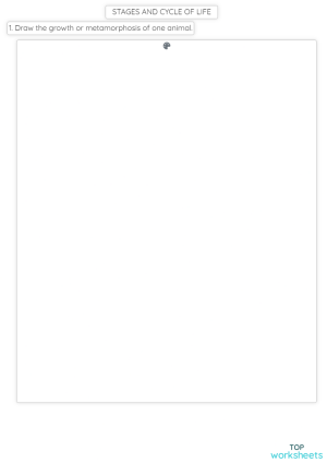 STAGES AND CYCLE OF LIFE. Interactive worksheet | TopWorksheets