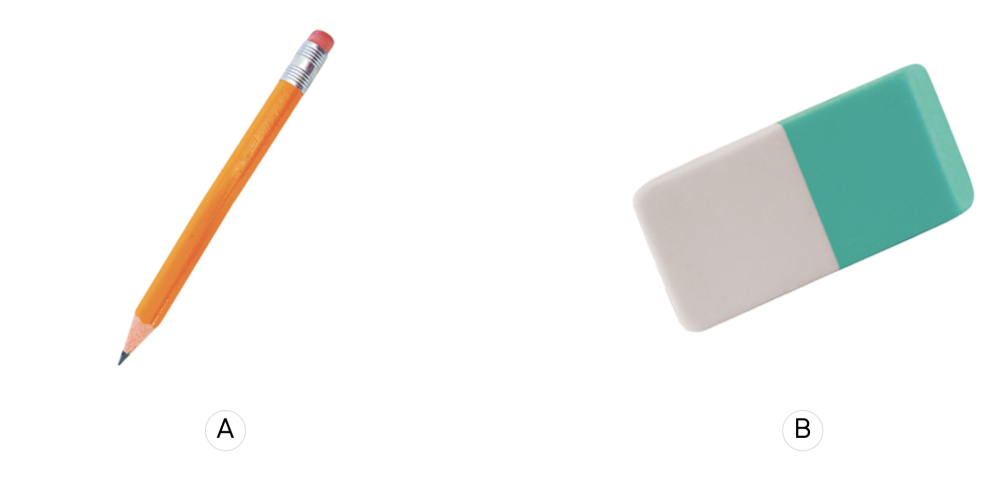 Exercise 4. Listen and circle.. Interactive worksheet | TopWorksheets