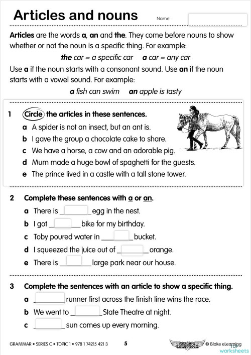 3 Grammar Articles and nouns. Interactive worksheet | TopWorksheets