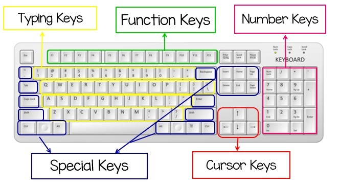 The Keyboard. Interactive worksheet | TopWorksheets