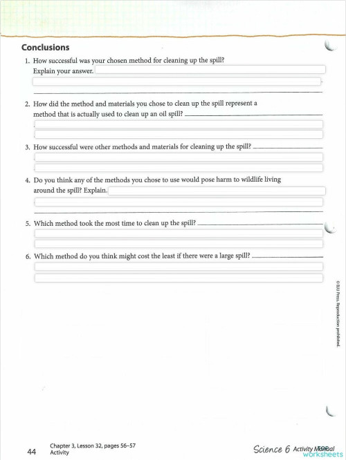 Lesson 32: Conclusions Pg 44. Interactive worksheet | TopWorksheets