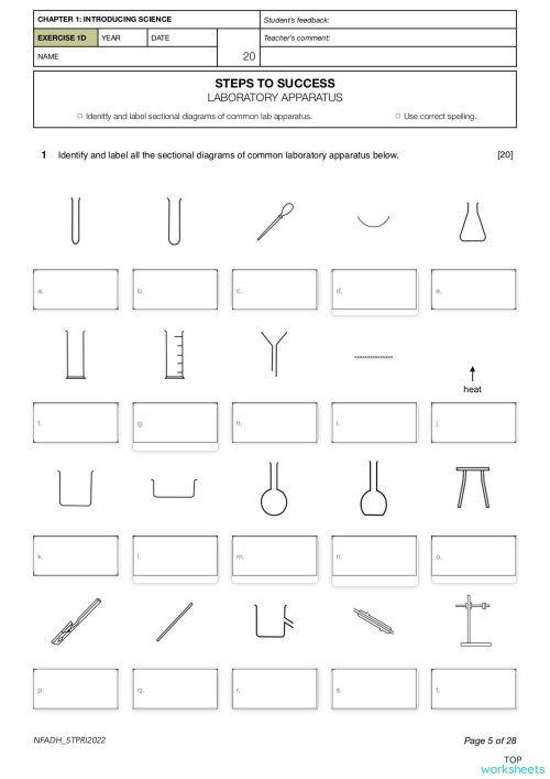 EXERCISE 1D. Interactive worksheet | TopWorksheets