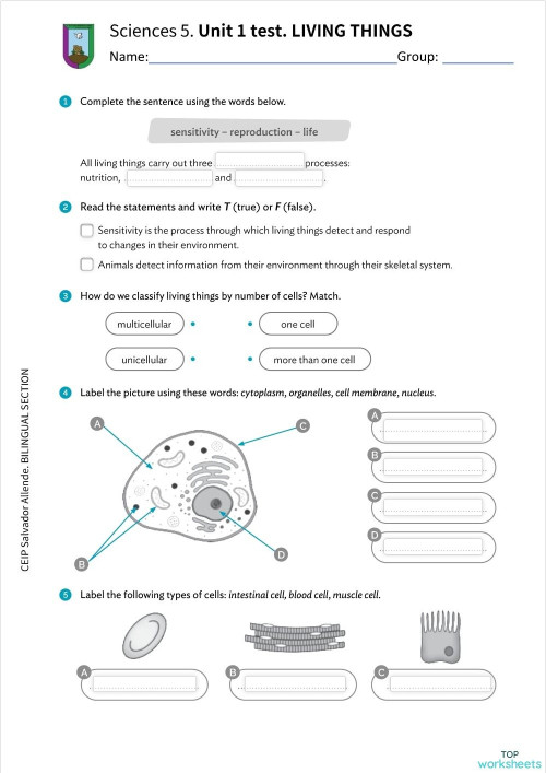 Natural science: interactive worksheets and online exercises ...