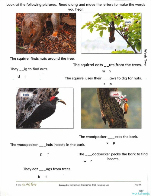 wider world 1 vocabulary and grammar unit 1 (50). Interactive worksheet ...