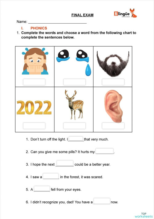 final exam - Flyers 6. Interactive worksheet | TopWorksheets