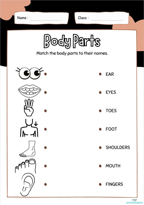 Body Parts Interactive Worksheet Topworksheets