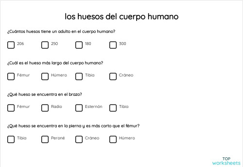 los huesos del cuerpo humano. Ficha interactiva | TopWorksheets
