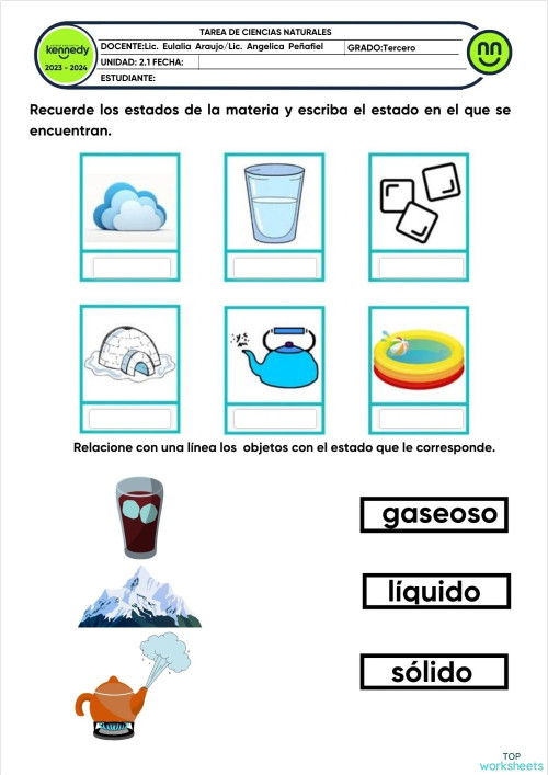 CIENCIAS 5° GRADO. Ficha interactiva | TopWorksheets