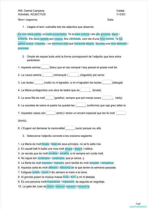 Substantius i adjectius. Worksheets 1.. Fitxa interactiva | TopWorksheets