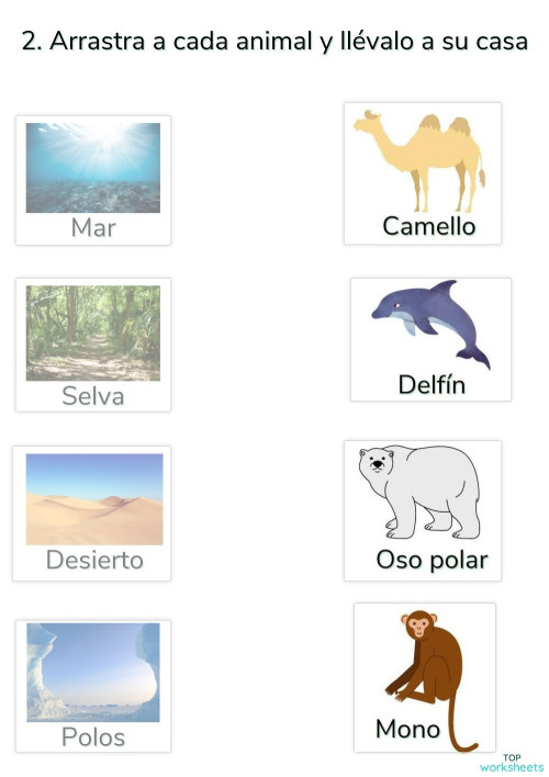 ¿Qué sonido hacen los animales?. Ficha interactiva | TopWorksheets