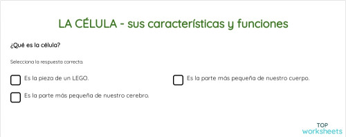 LA CÉLULA - sus características y funciones. Ficha interactiva ...
