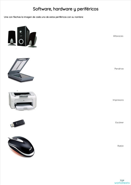 Software, hardware y periféricos. Ficha interactiva | TopWorksheets