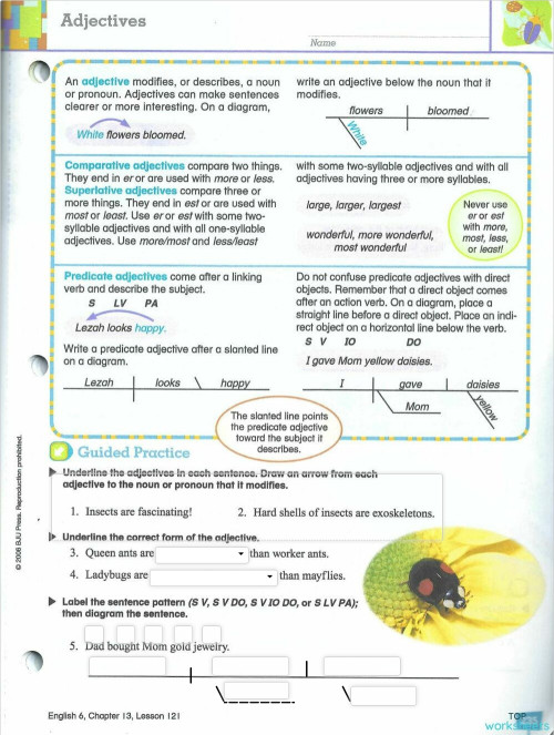 Lesson 121 Adjectives Pg 235. Interactive worksheet | TopWorksheets