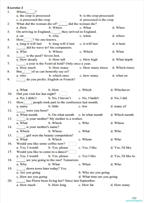 QUESTIONS 02. Interactive worksheet | TopWorksheets