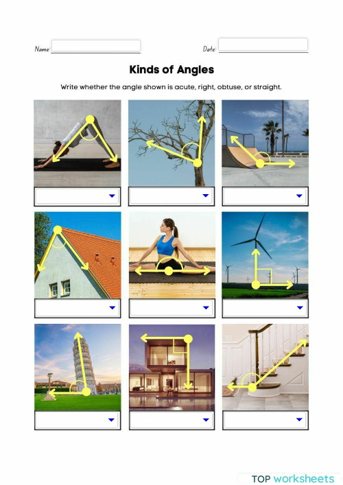 Identify Angles. Interactive worksheet | TopWorksheets