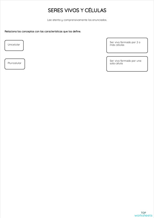 SERES VIVOS Y CÉLULAS. Ficha interactiva | TopWorksheets