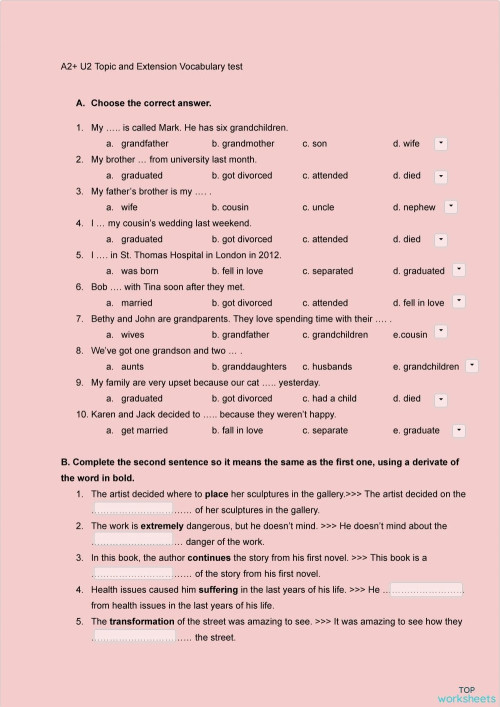 BIE A2+ U2 Topic and Extension Vocabulary test.. Interactive worksheet ...
