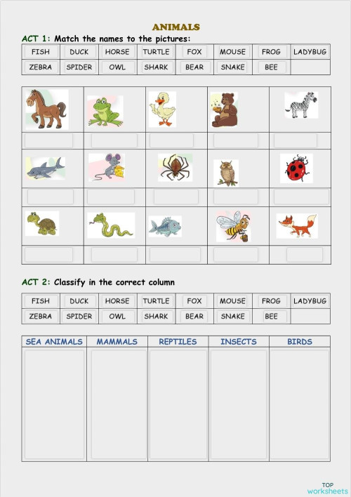 ANIMALS- names and class. Interactive worksheet | TopWorksheets